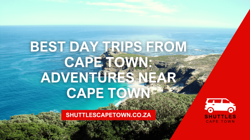Best Day Trips from Cape Town: Adventures Near Cape Town