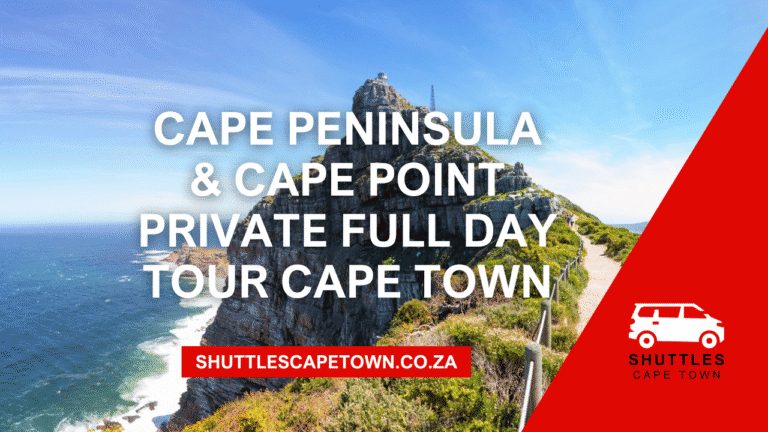 Cape Peninsula & Cape Point Private Full Day Tour Cape Town