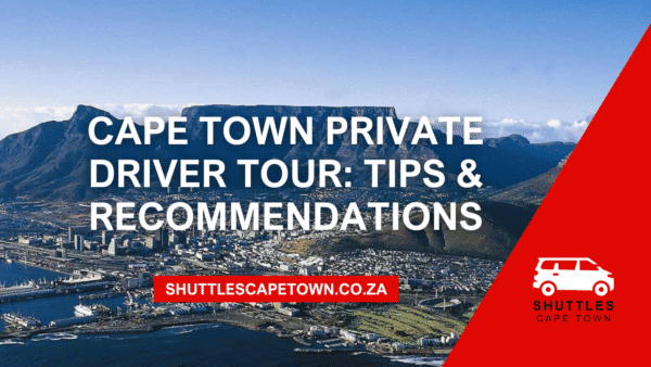 Cape Town Private Driver Tour: Tips & Recommendations